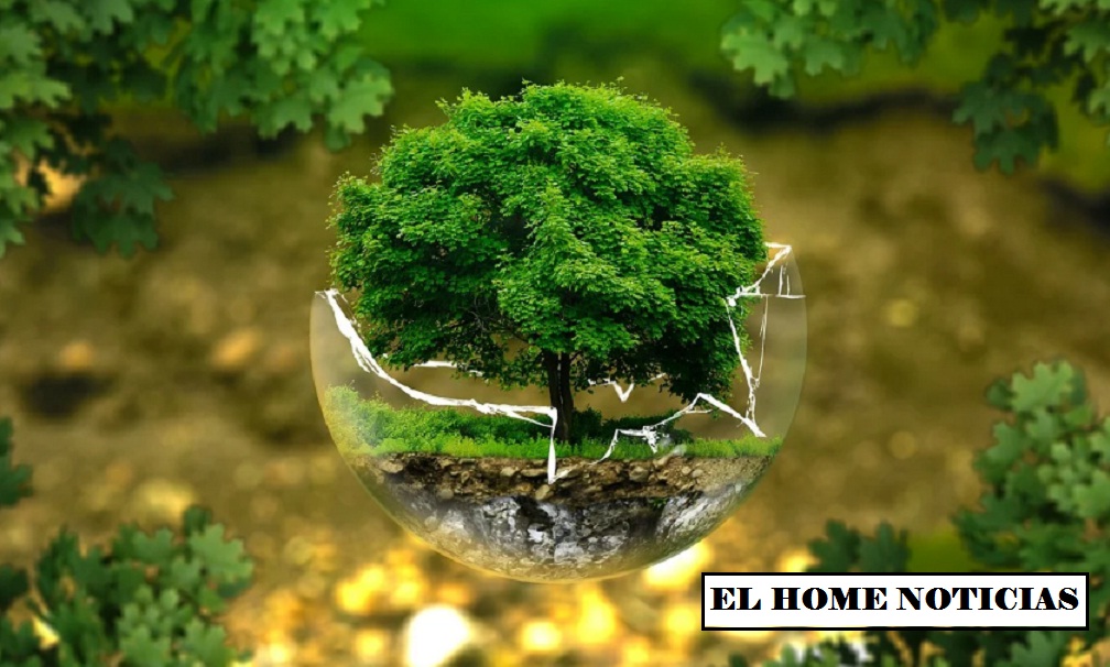 Duque y más de 30 expertos del mundo darán inicio al Día Mundial del ...