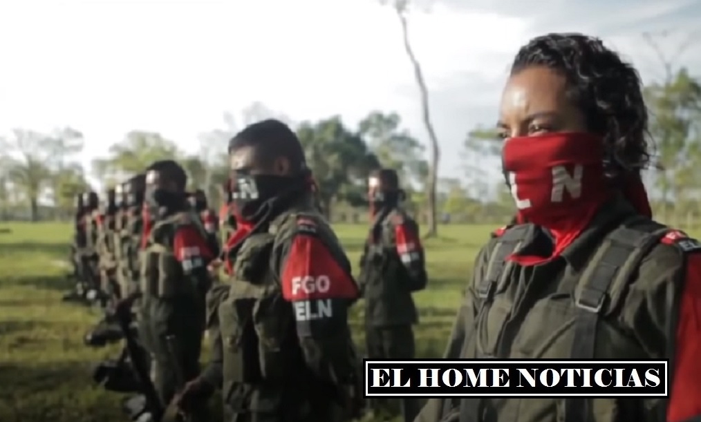 El ELN desmintió a Gustavo Petro respecto a cese al fuego bilateral ...